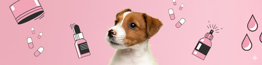 Suplementy dla psa – jak je dobierać i do czego służą